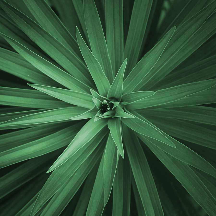 HACHEM : Architecture . Interior . Marketing